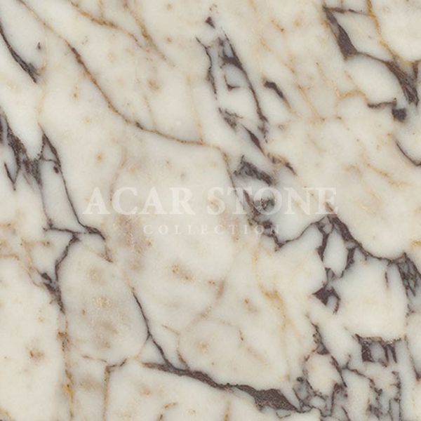 Marble Stone Tiles m2 Prices, Slabs Models 2026 | ACAR STONE